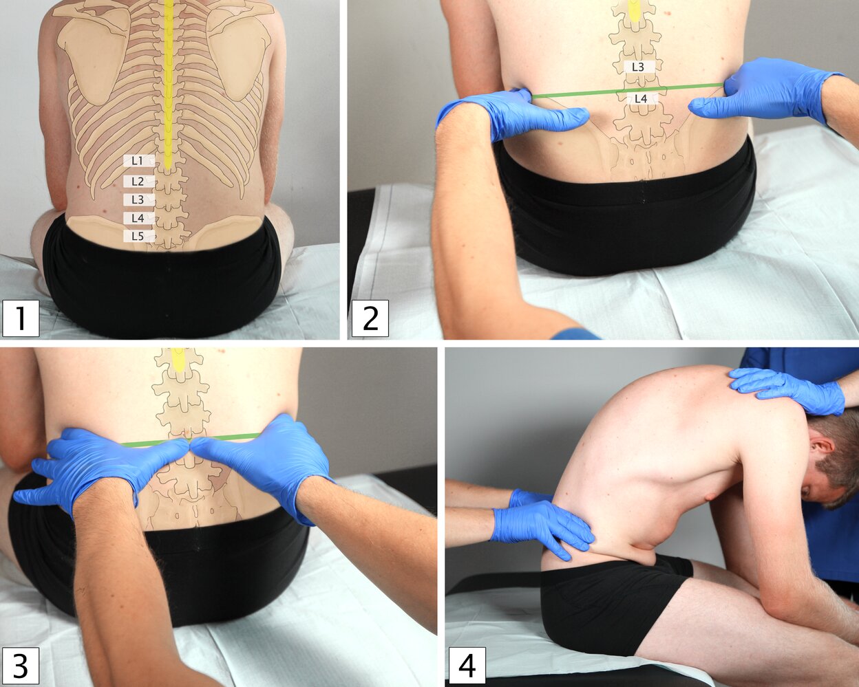 Lumbar Test