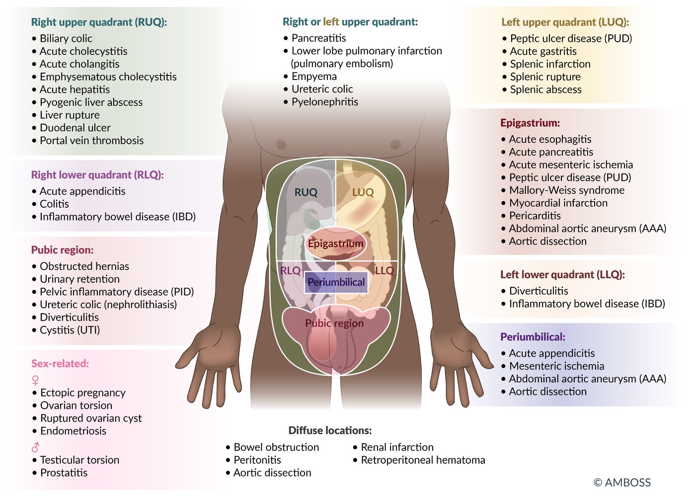 Quadrants Of Abdomen And Dd Of Abdominal Pain Abdominal Mass