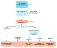 Hypocalcemia - Knowledge @ AMBOSS
