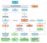 Overview of stroke - Knowledge @ AMBOSS