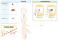 Transfusion - Knowledge @ AMBOSS