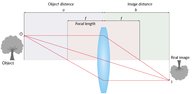 Visual processing - Knowledge @ AMBOSS