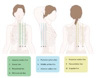 Thoracic spine and rib osteopathy - Knowledge @ AMBOSS