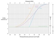 Respiratory physiology - Knowledge @ AMBOSS