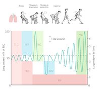Pulmonary function testing - Knowledge @ AMBOSS