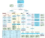 Hemolytic anemia - Knowledge @ AMBOSS