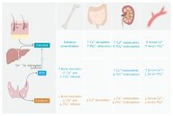 Hypocalcemia - Knowledge @ AMBOSS