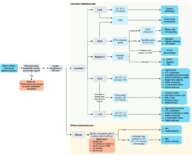Acute abdomen - Knowledge @ AMBOSS