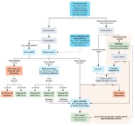 Abdominal aortic aneurysm - Knowledge @ AMBOSS