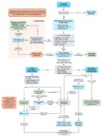 ABCDE approach - Knowledge @ AMBOSS