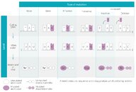 Basics of human genetics - Knowledge @ AMBOSS