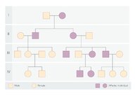 Basics of human genetics - Knowledge @ AMBOSS