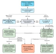 ABCDE approach - Knowledge @ AMBOSS