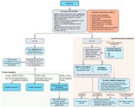 Headache - Knowledge @ AMBOSS