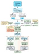 Hyperglycemic crises - Knowledge @ AMBOSS