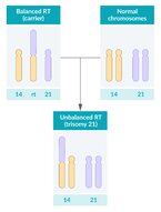 Basics of human genetics - Knowledge @ AMBOSS