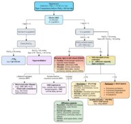 Respiratory physiology - Knowledge @ AMBOSS