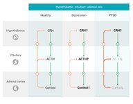 Trauma- and stressor-related disorders - Knowledge @ AMBOSS