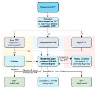 Deep vein thrombosis - Knowledge @ AMBOSS