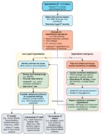 Hyperkalemia - Knowledge @ AMBOSS