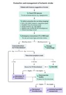 Option 1: Ischemic stroke - Knowledge @ AMBOSS