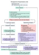 ABCDE approach - Knowledge @ AMBOSS