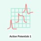 Resting potentials and action potentials - Knowledge @ AMBOSS